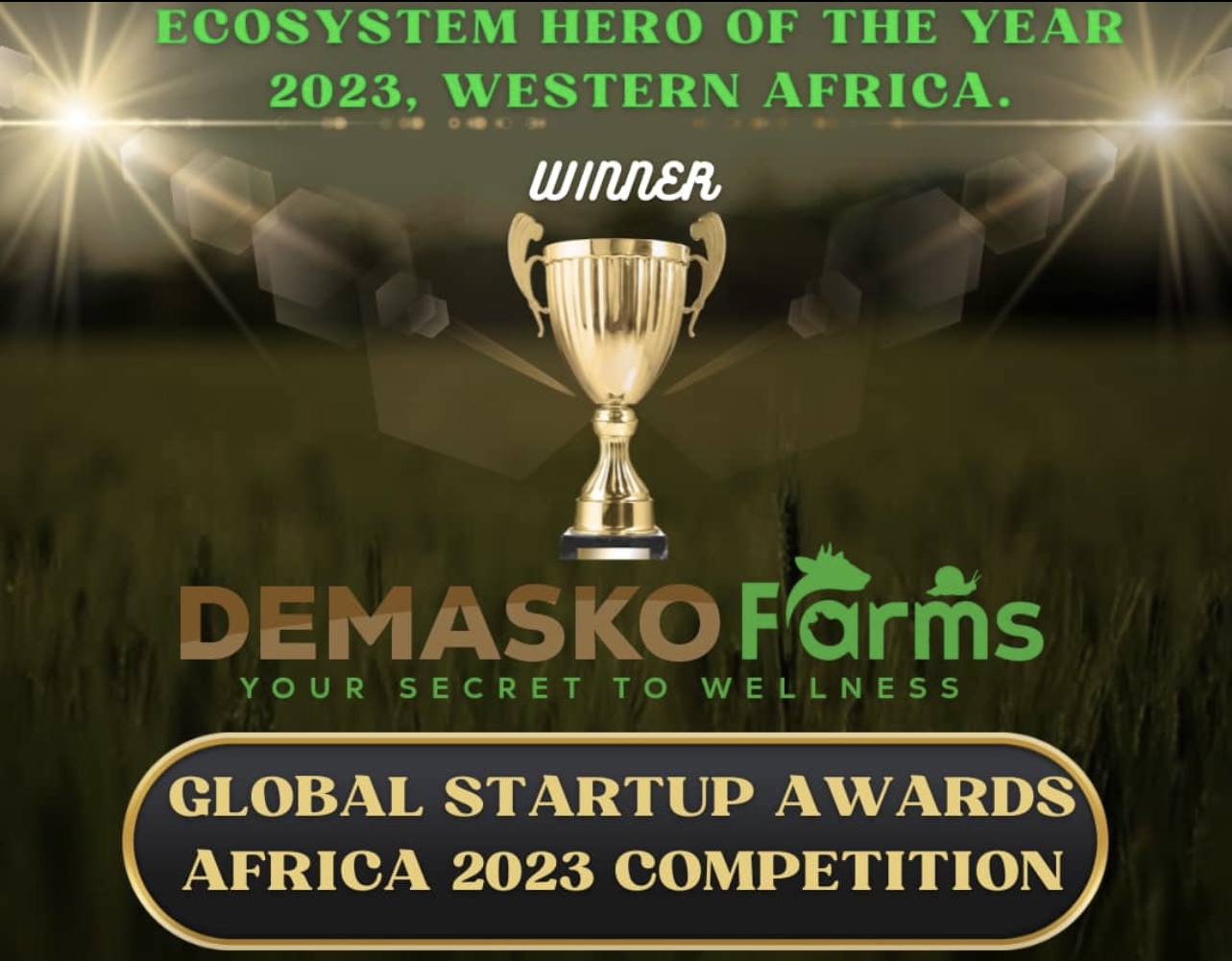 Ghanaian startup Demasko Farms wins international award | TechFocus24
